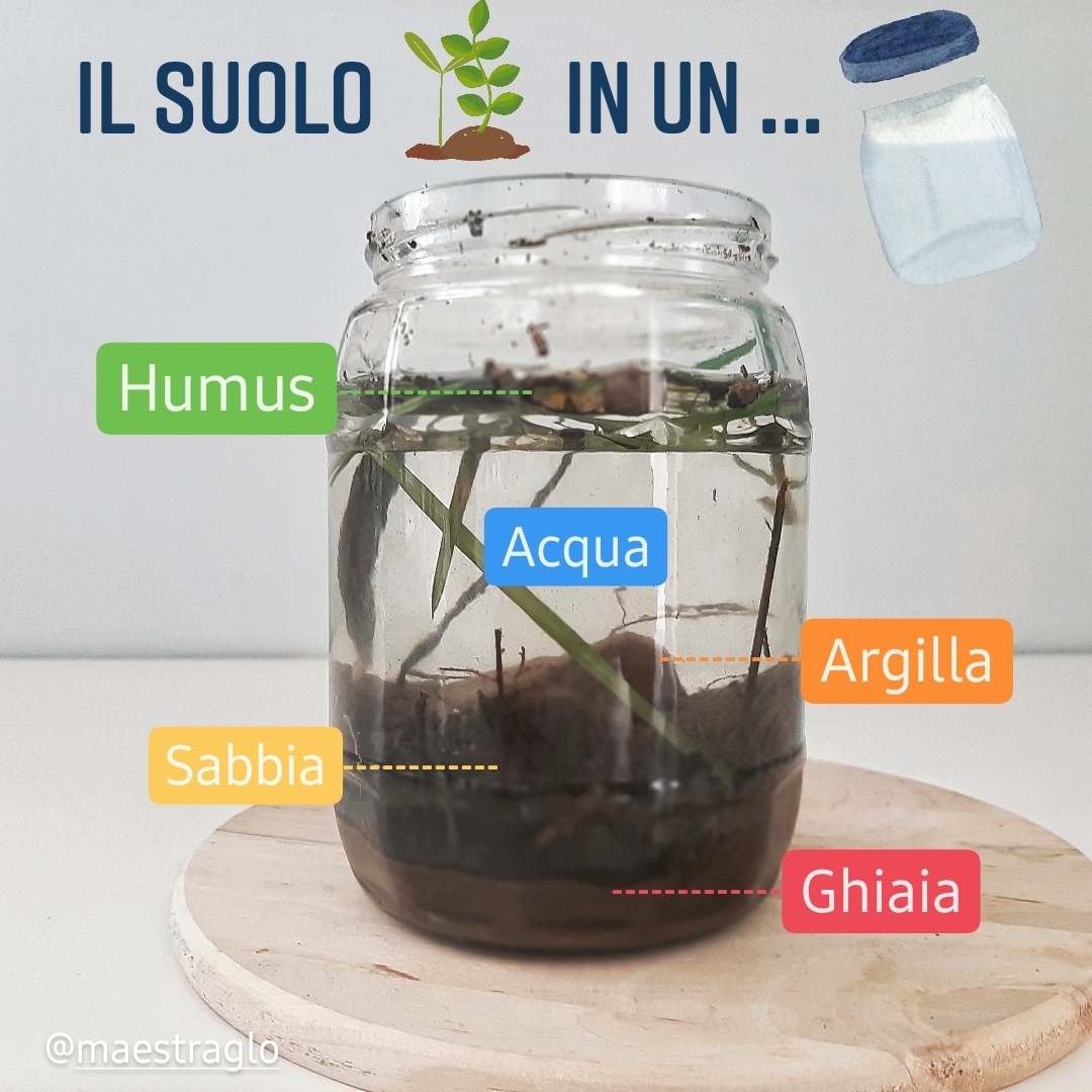 Il suolo - MAESTRAGLO